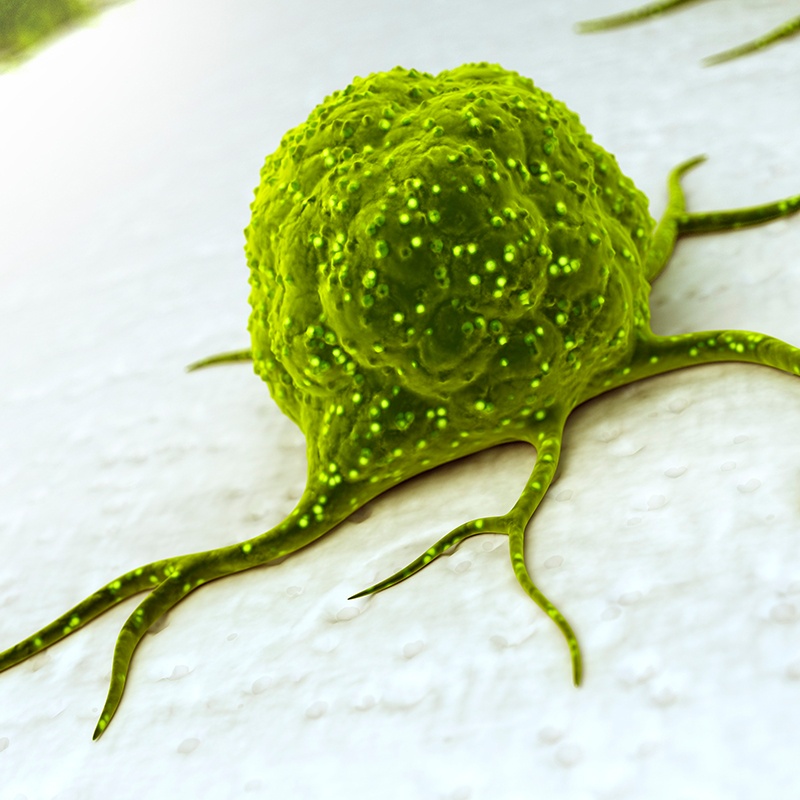 5 reasons why the R2G2® mouse could help you achieve your oncology ...